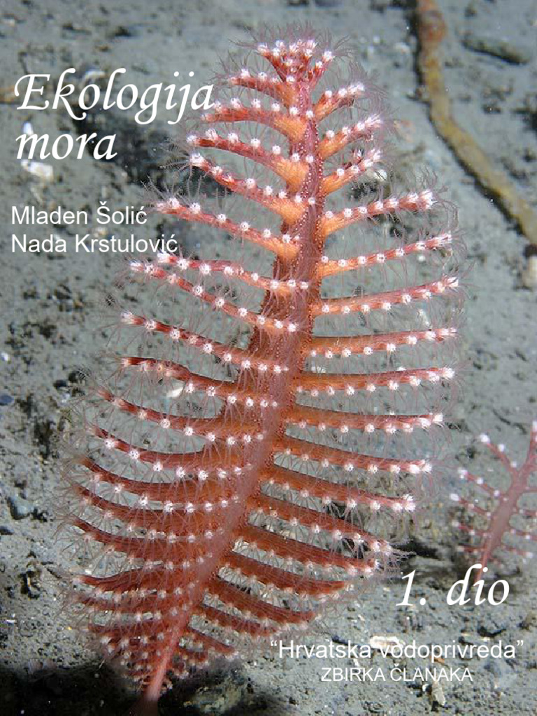 Ekologija Mora - 1. Dio | PDF