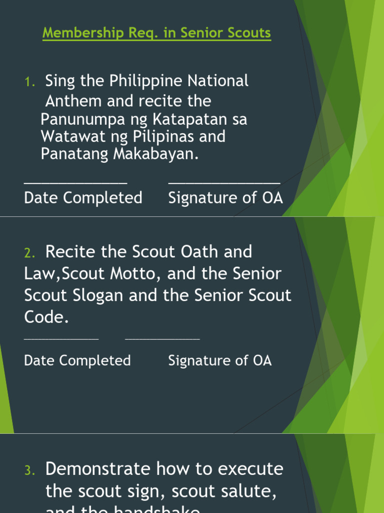 ADVANCEMENT-guide BSP | PDF | Scouting