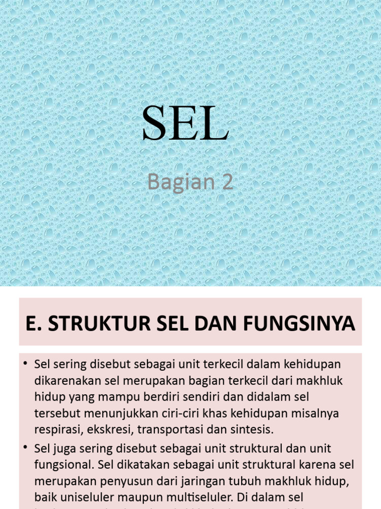 Sel 2 | PDF