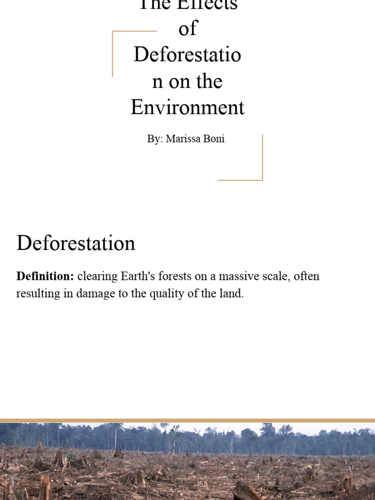 The Effects of Deforestation on the Environment- APES Final | PDF ...