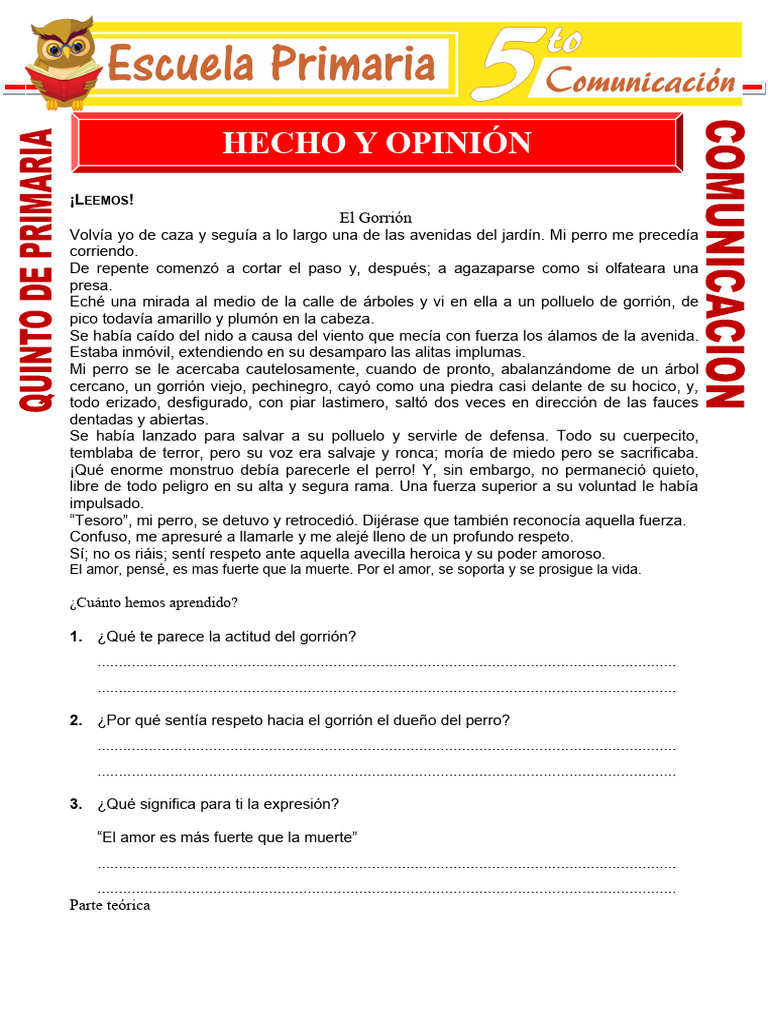 Hecho y Opinión para Quinto de Primaria | PDF | Propaganda | Amor