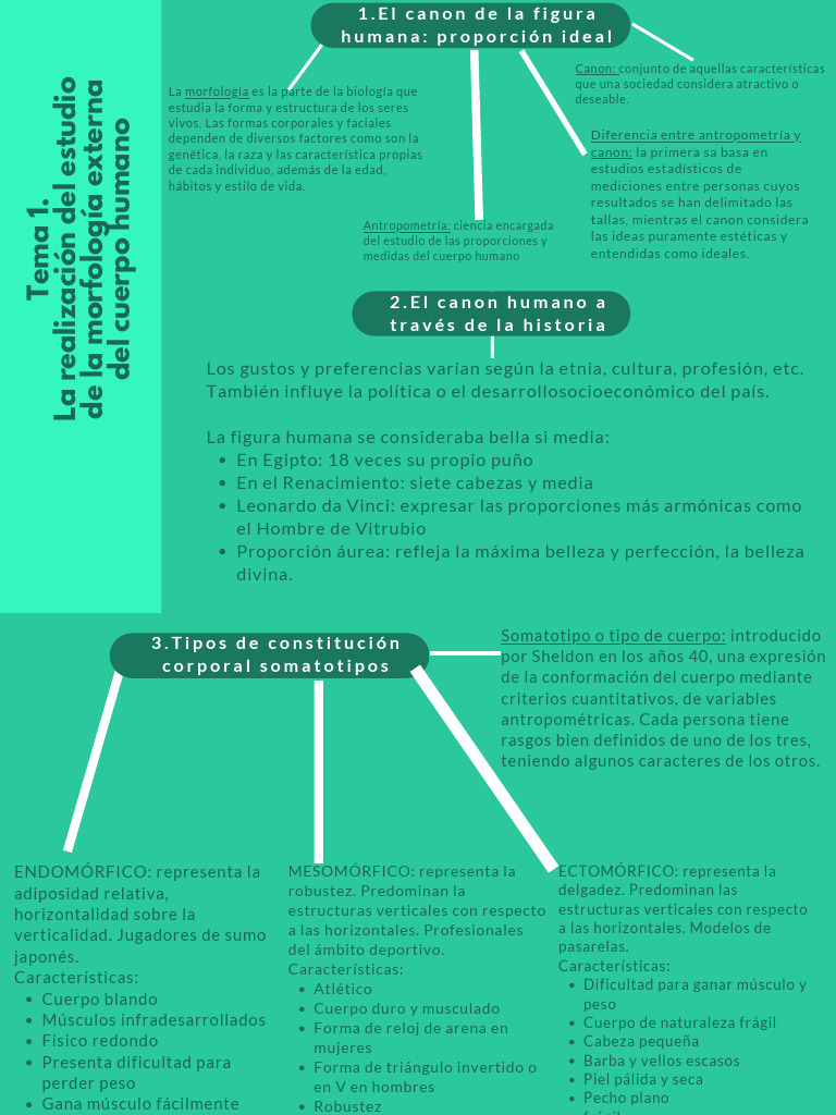 Tema 1. La Realización Del Estudio de La Morfología Externa Del Cuerpo ...