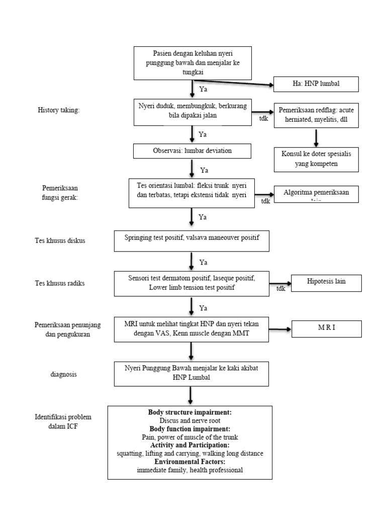 Algoritma HNP Lumbale | PDF