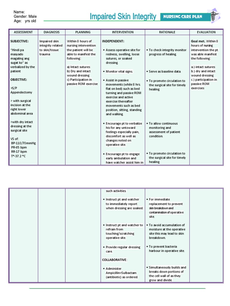 NCP Impaired Skin Integrity | PDF
