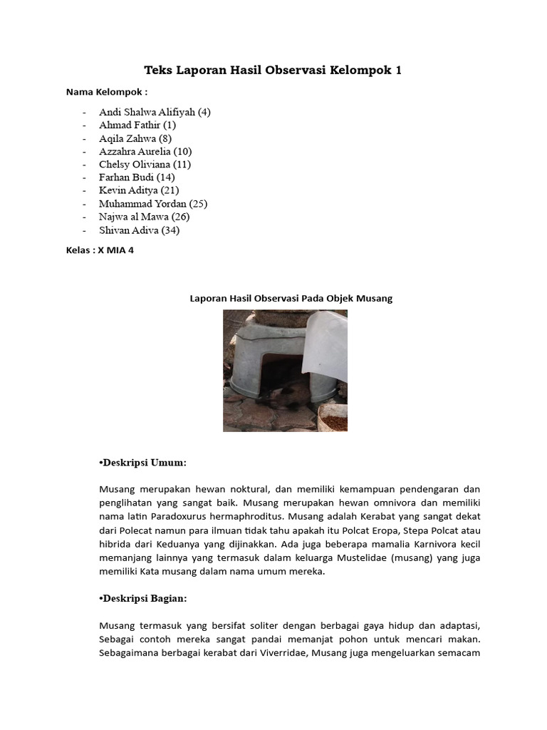 Observasi Musang: Deskripsi dan Habitat | PDF