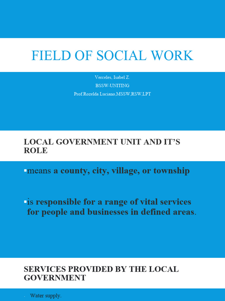Role of Local Government in Social Work | PDF | Non Governmental ...
