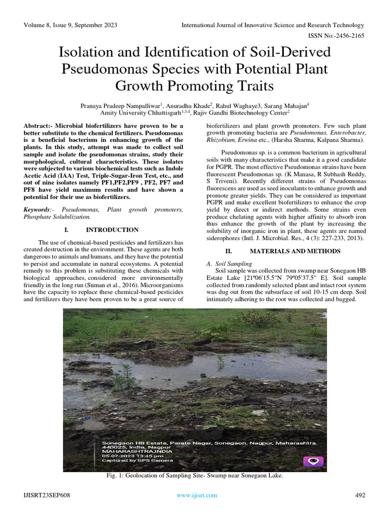 Isolation and Identification of Soil-Derived Pseudomonas Species With ...