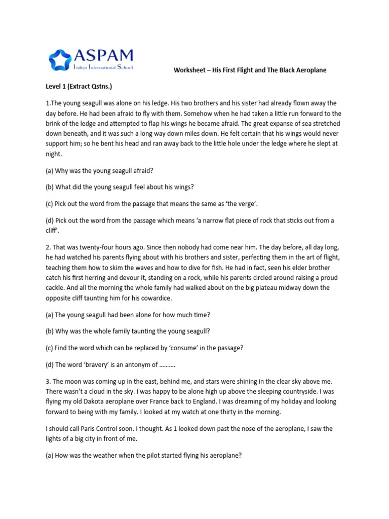 His First Flight & The Black Aeroplane | PDF