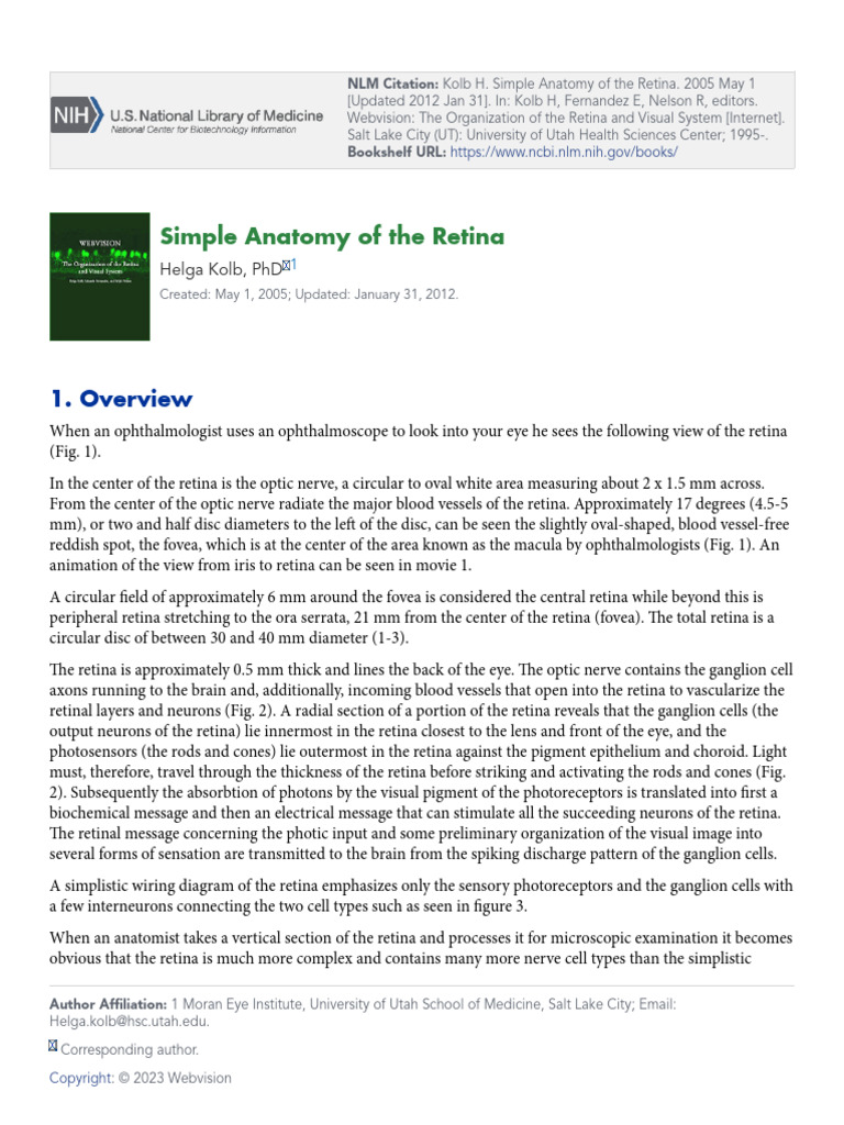 Simple Anatomy of The Retina | PDF | Retina | Eye