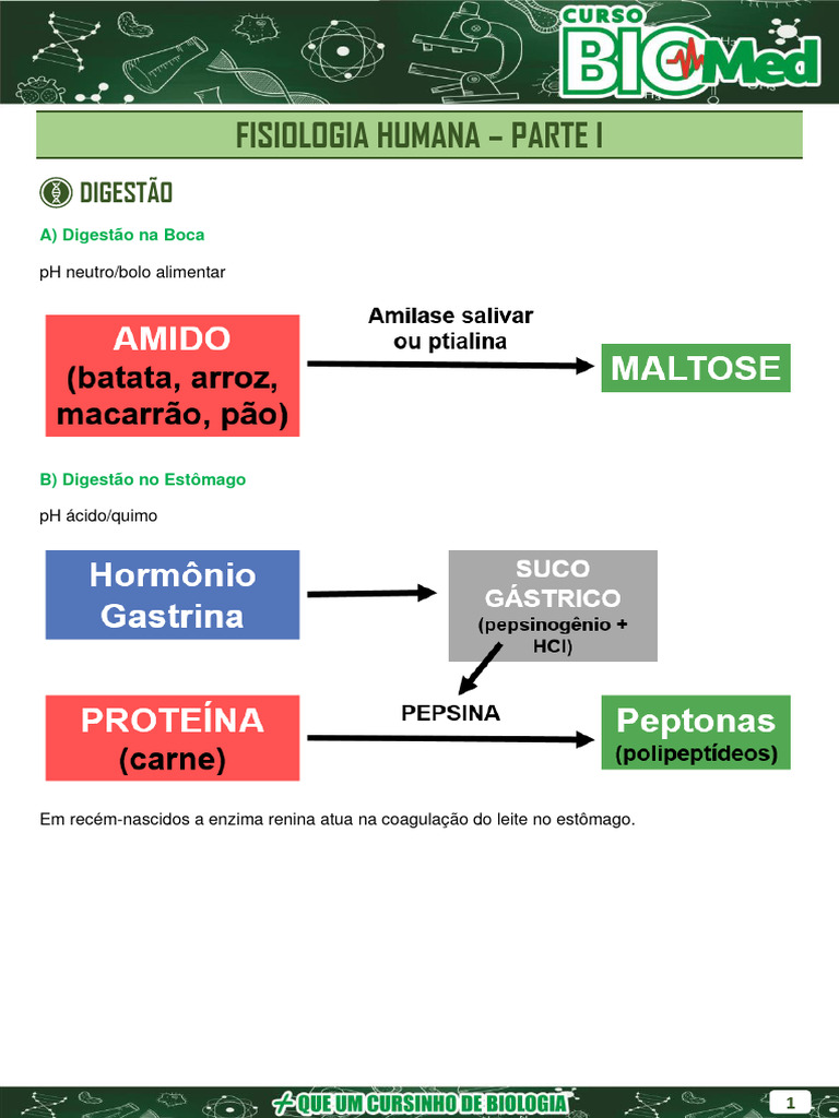 Digestão e Fisiologia Humana | PDF | Sistema circulatório | Coração