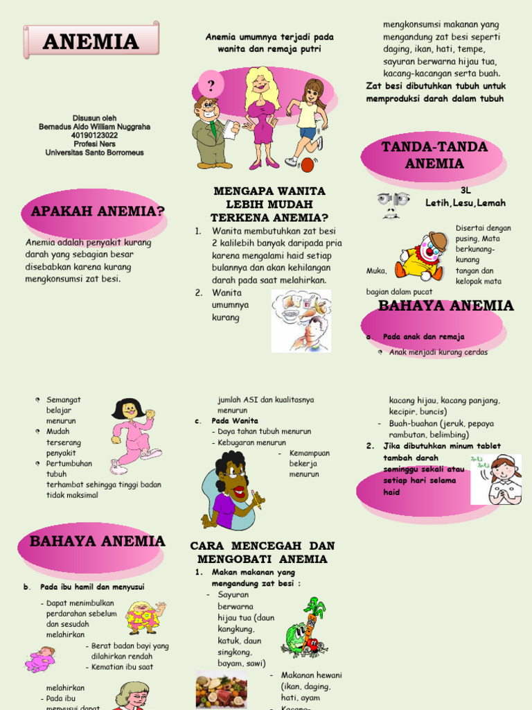 Leaflet Anemia | PDF