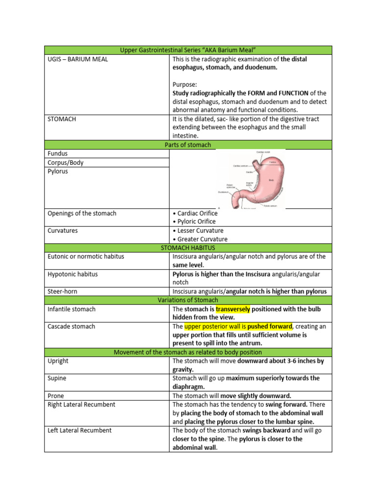 Upper Gastrointestinal Series | PDF | Stomach | Gastrointestinal Tract