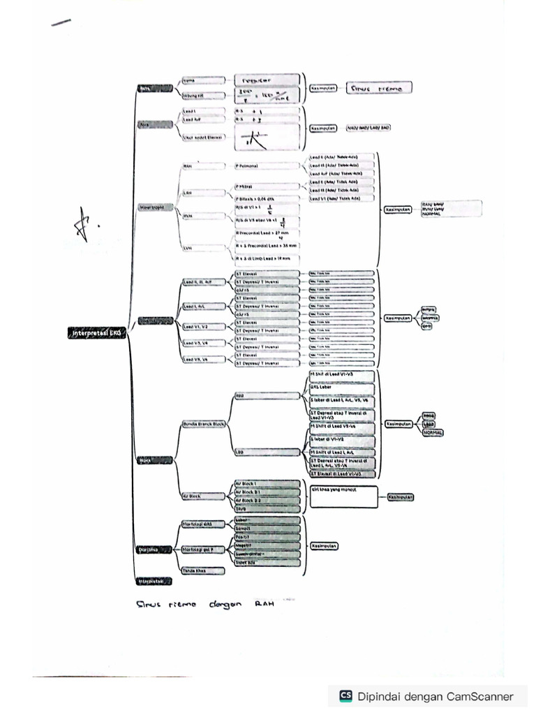 Sinus Ritme Dengan RAH | PDF