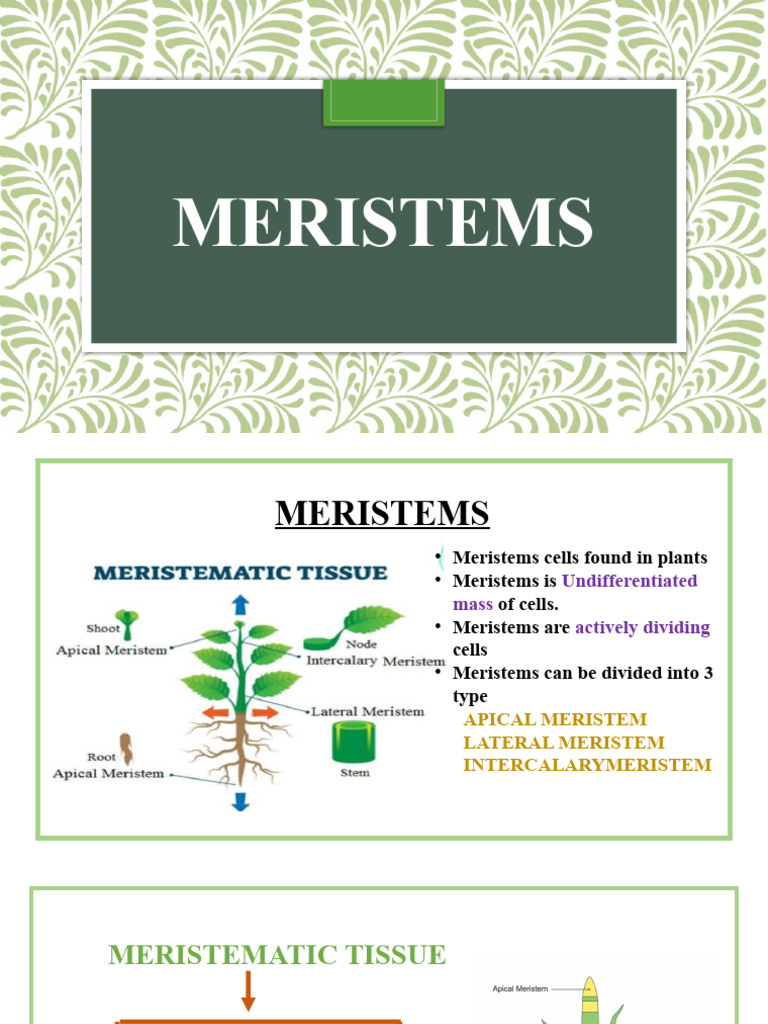 Microteaching | PDF