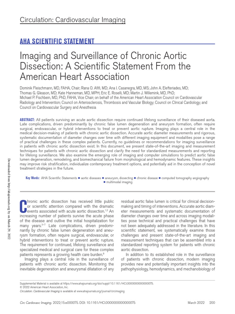 Chronic Aortic Dissection | Download Free PDF | Interventional ...