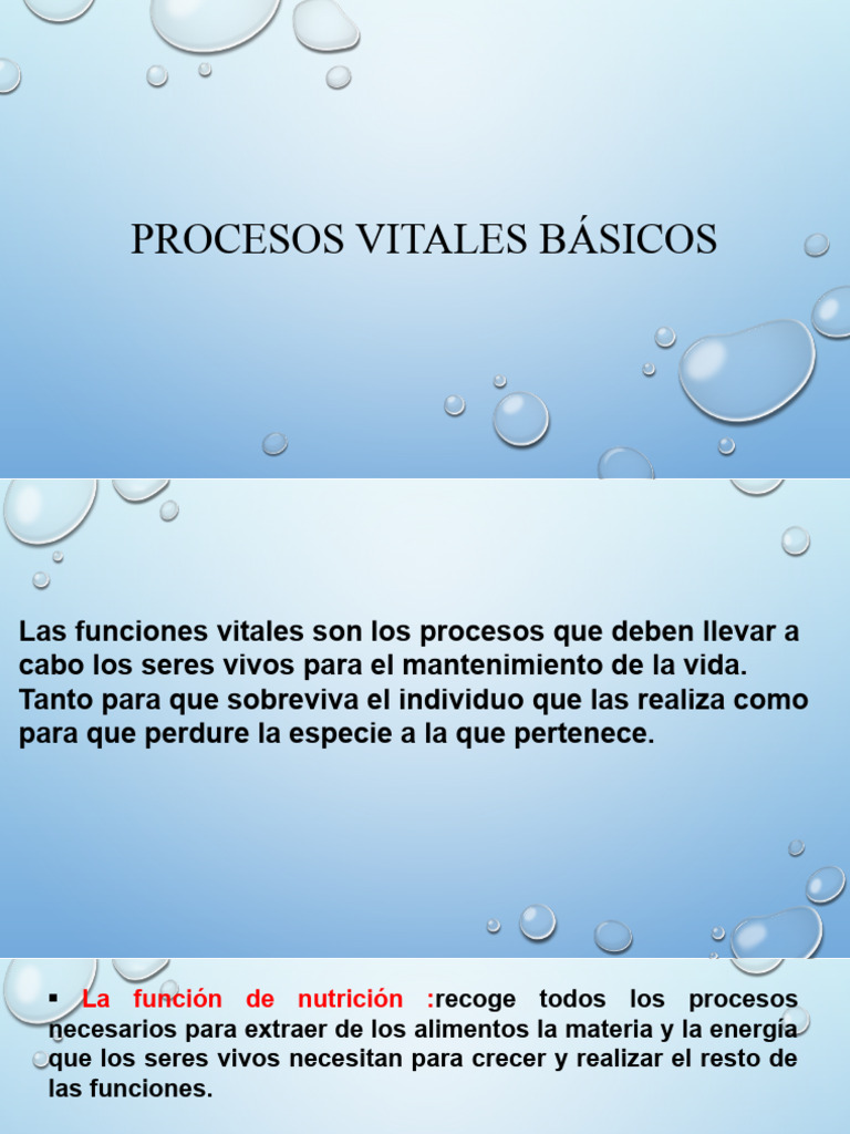 Procesos Vitales de los Seres Vivos | PDF | Reproducción sexual ...