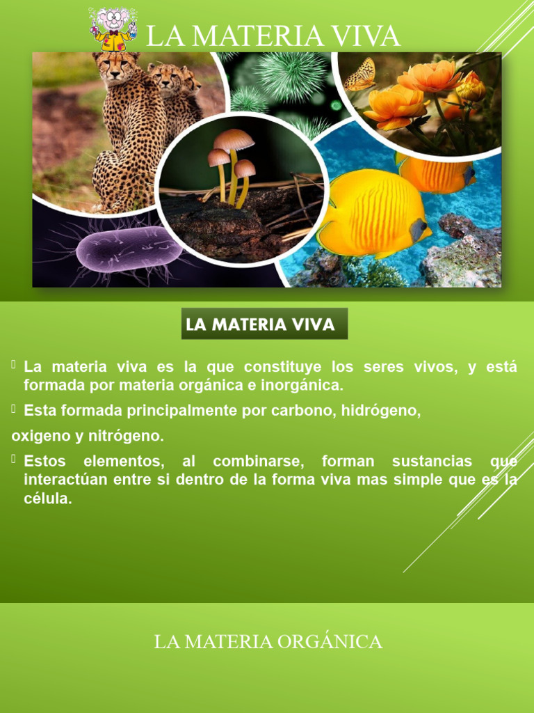 La Materia Viva III Clase | PDF | Biomoléculas | Organismos