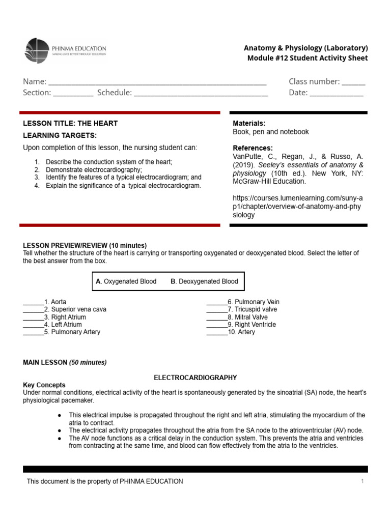 Heart | PDF | Atrium (Heart) | Ventricle (Heart)