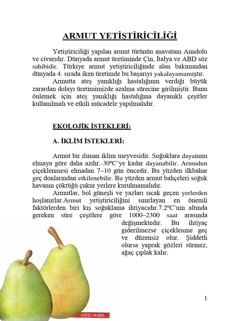 Armut | PDF