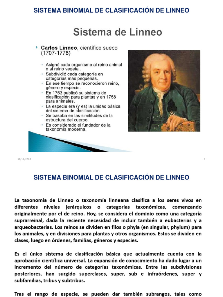 Presentacion-Sistema de Clasificacion Binonmial de Linneo | PDF | Árbol ...