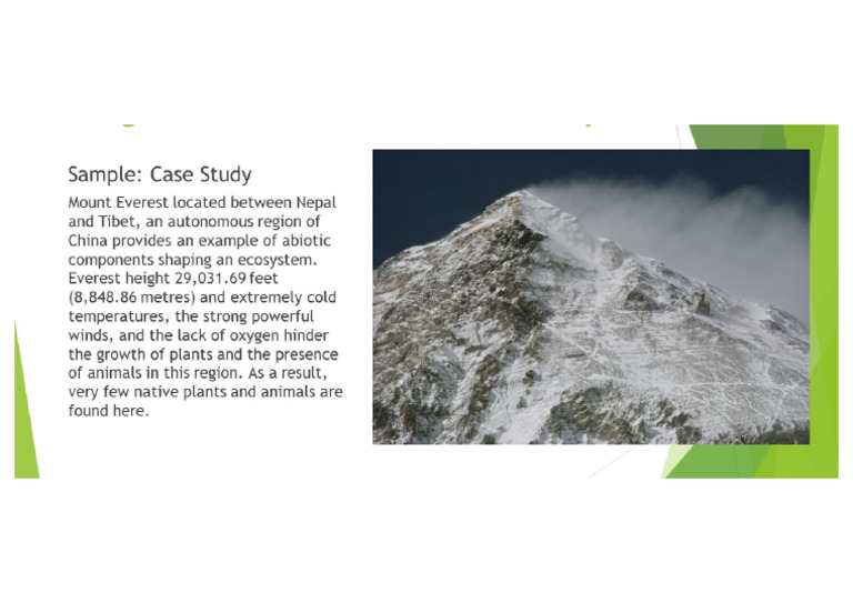 Mount Everest | PDF
