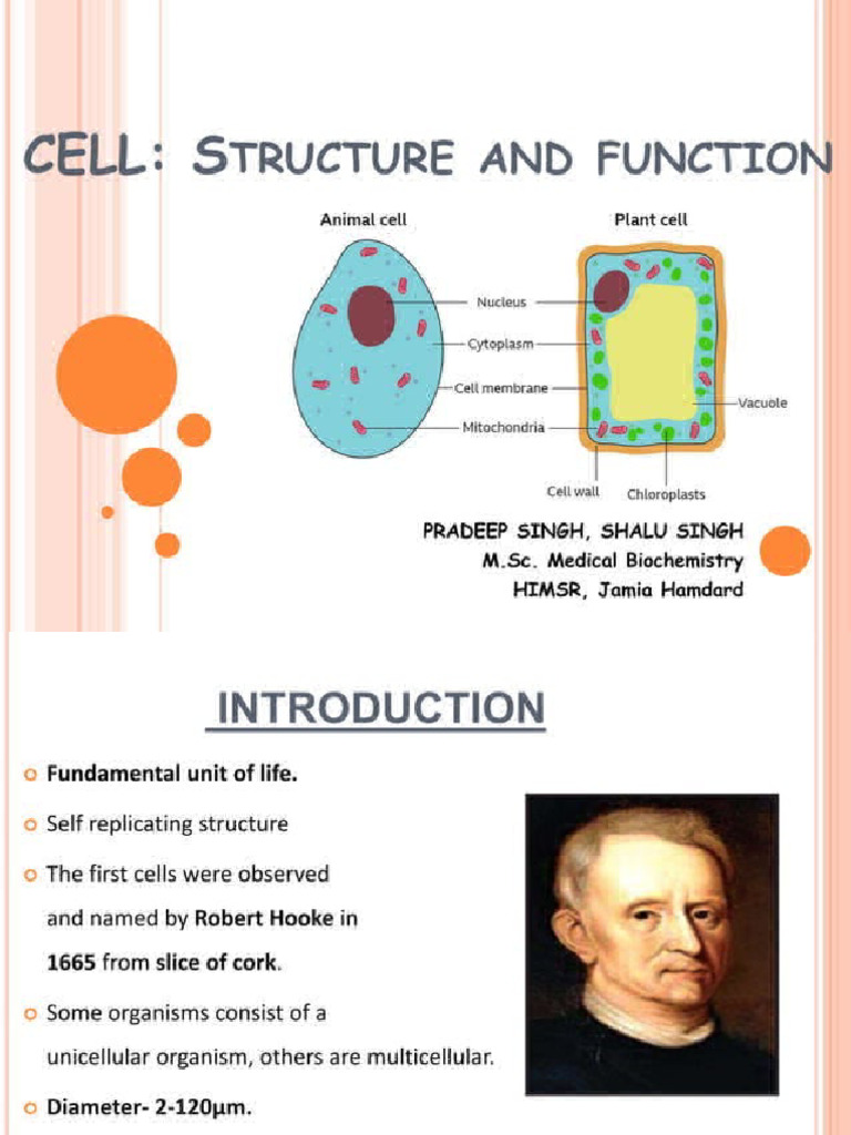 Cell Structure and Function | PDF