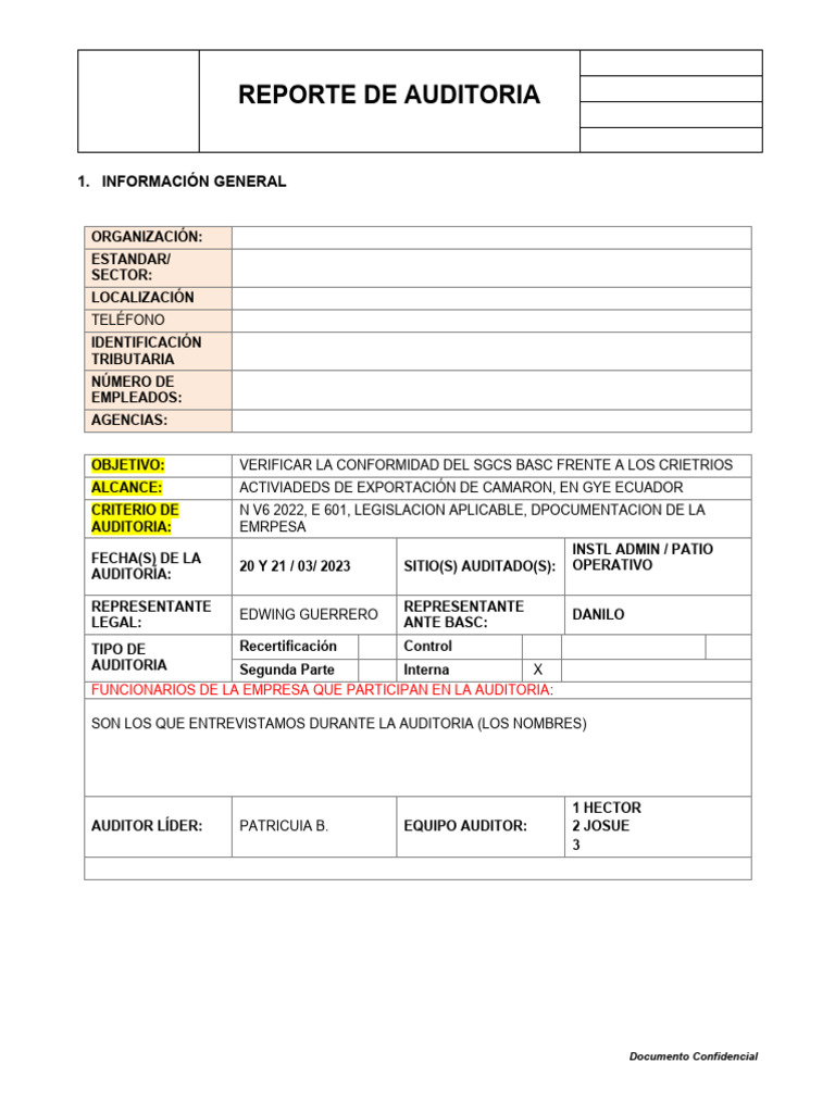Reporte de Auditoria Interna | PDF | Auditoría | Logística