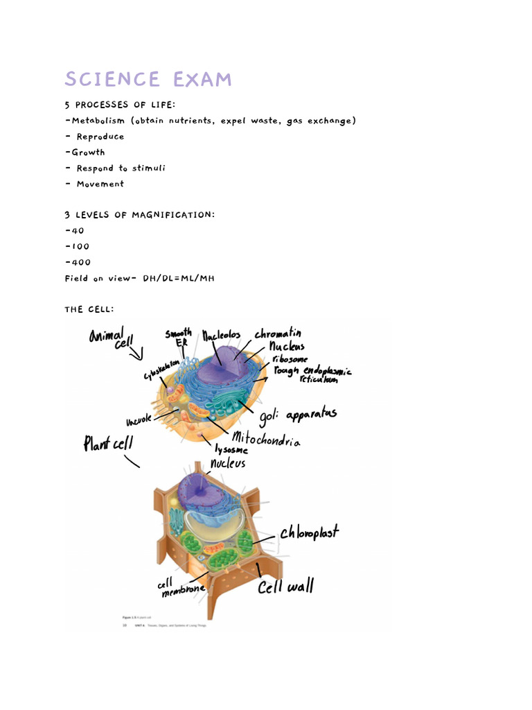 Biology Notes | Download Free PDF | Light | Cell Membrane Biology Notes | Download Free PDF | Light | Cell Membrane