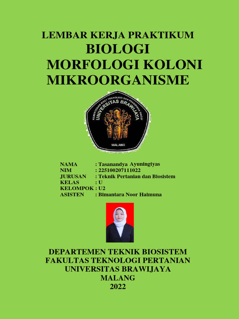 Morfologi Koloni Mikroorganisme 2022 | PDF