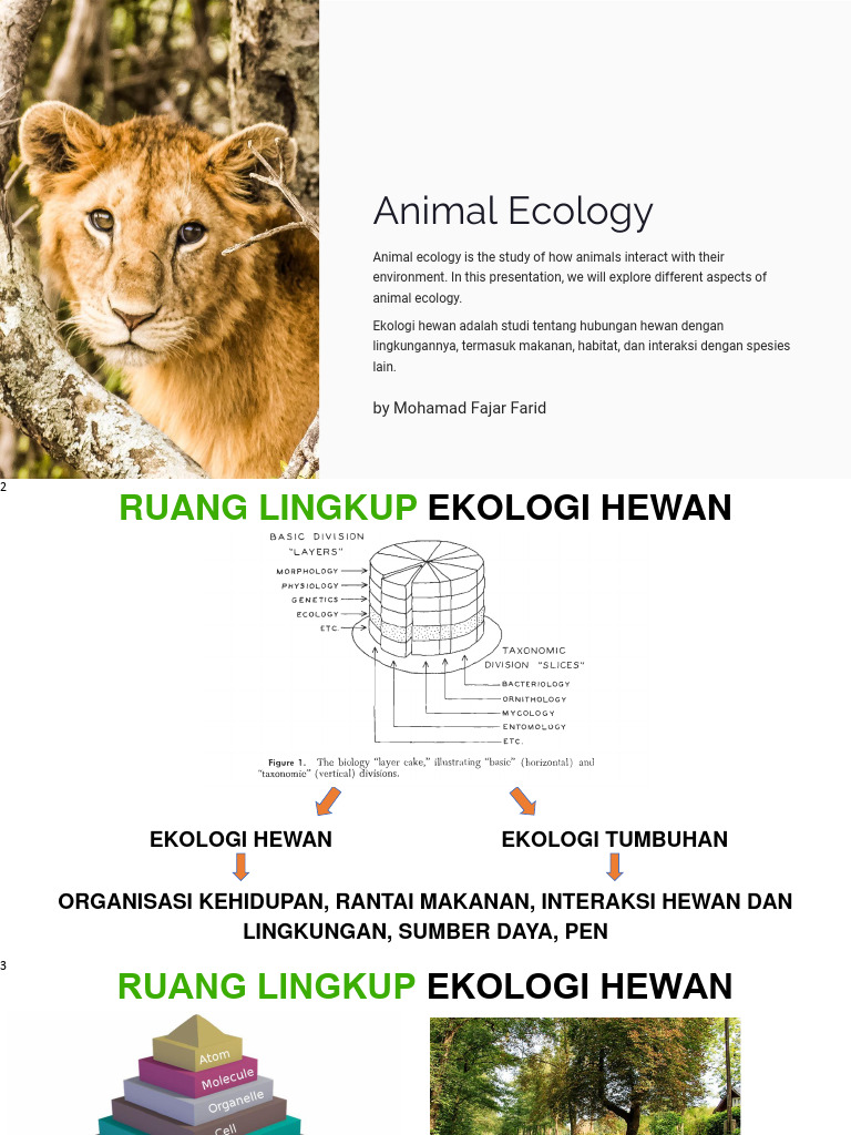 02 Konsep Ekologi Hewan Pdf