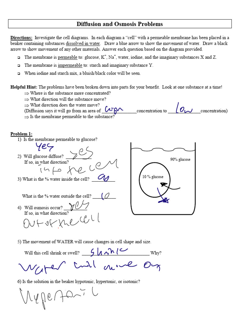 Diffusion and Osmosis Problems | PDF | Osmosis | Cell Biology