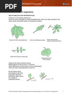 Dichotomous Key Practice Worksheets | PDF | Foreign Language Studies