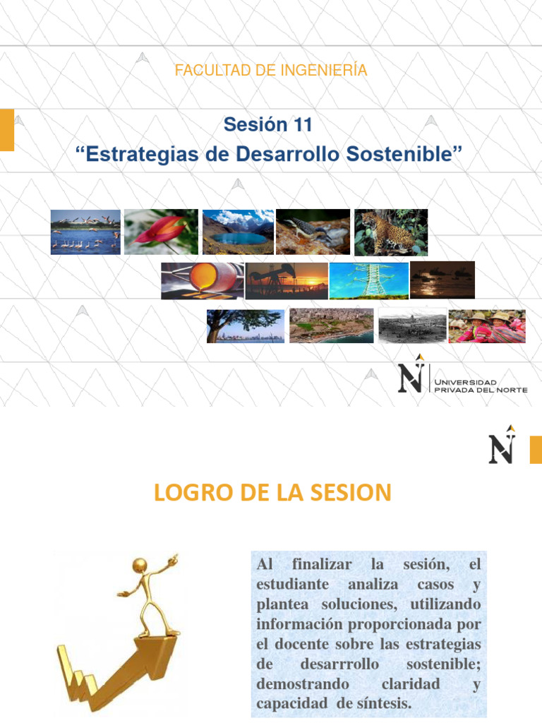 11 Estrategias de Desarrollo Sostenible | PDF | Sustentabilidad | Desarrollo sostenible