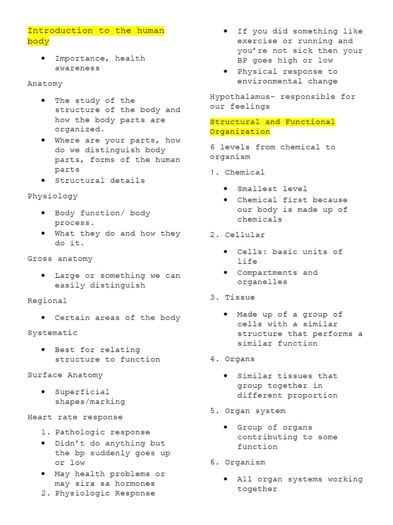 Human Body Anatomy and Functions Guide | PDF | Human Body | Anatomical ...