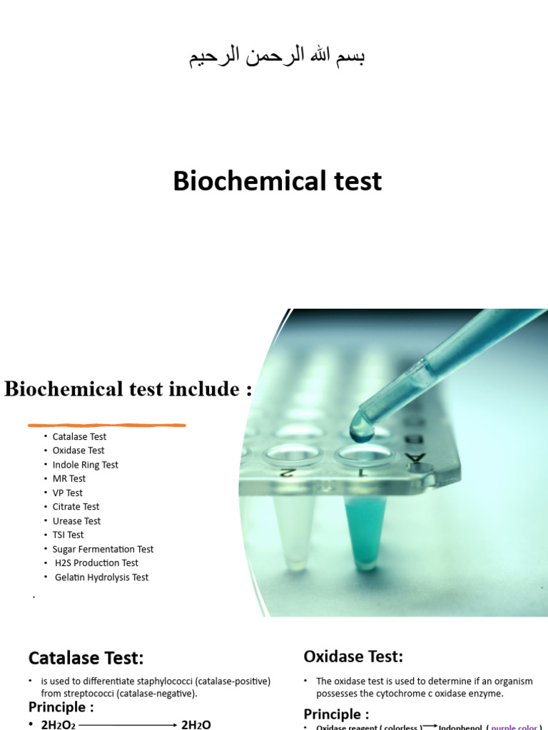Biochemical Test | PDF | Growth Medium | Bacteria