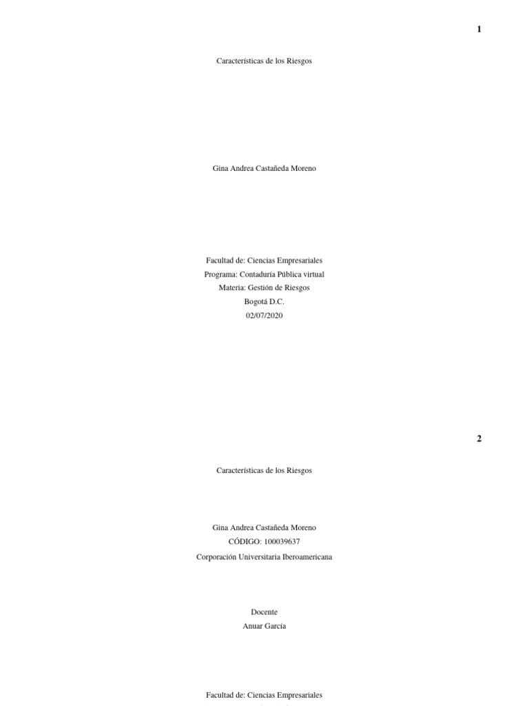 Caracteristicas de Los Risgos | PDF | Riesgo | Business