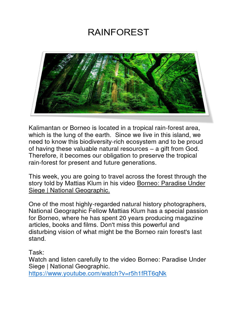 Protecting Borneo's Rainforest Legacy | PDF
