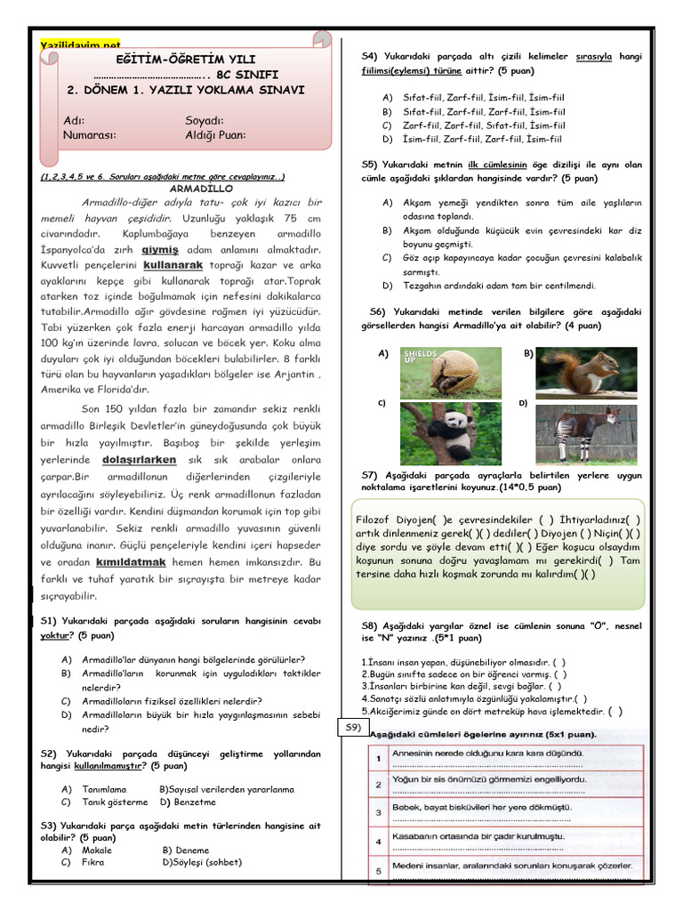 8 snf2 Dnem1 Yazl | PDF