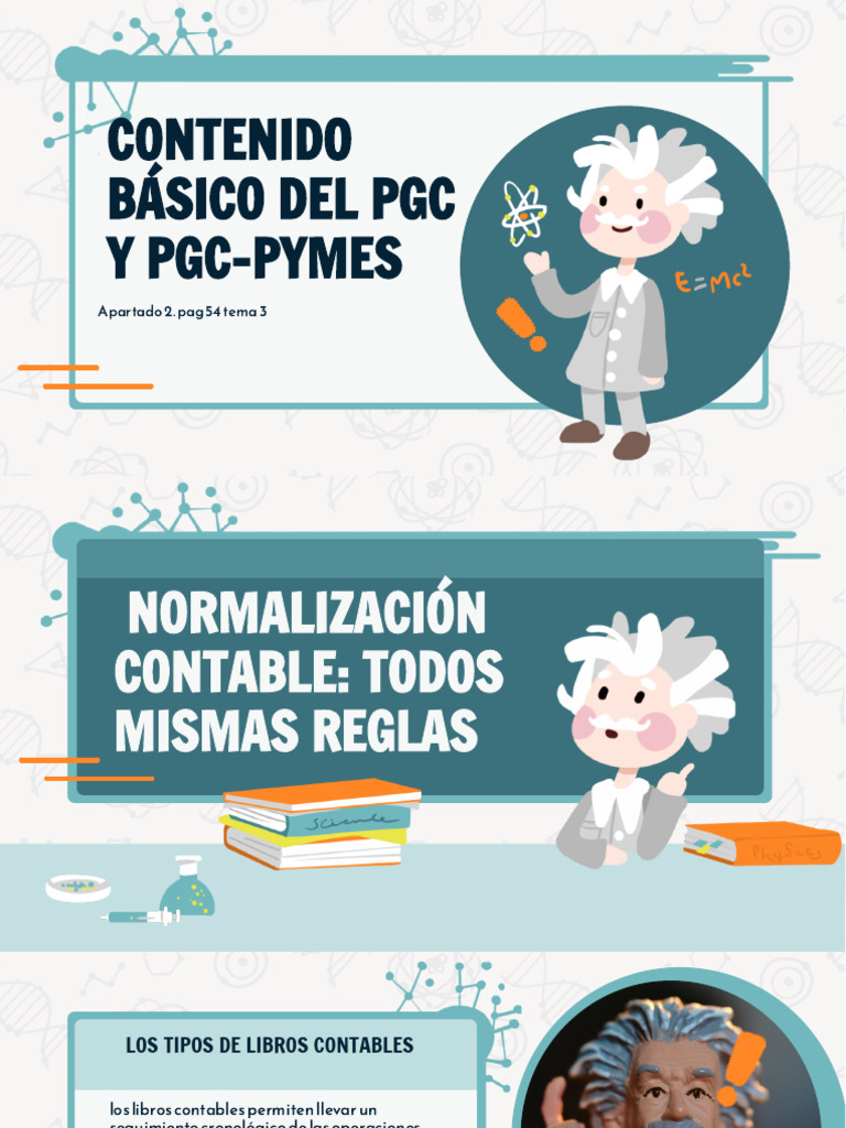 Guía PGC y PGC-PYMES: Normas y Cuentas | PDF | Contabilidad | Estado financiero