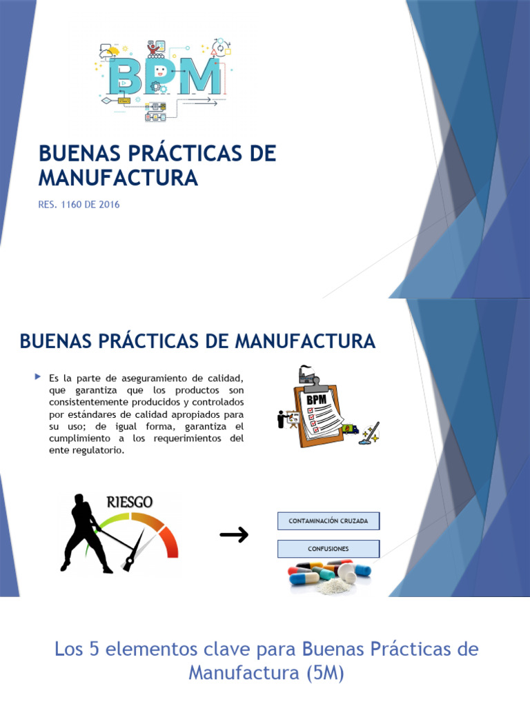Buenas Practicas de Manufactura | PDF | Negocios | Informática