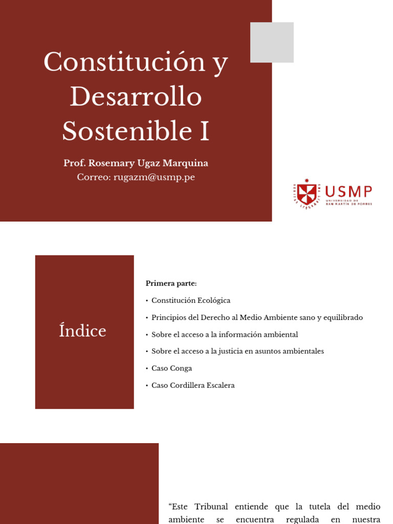 Clase 4. Constitución y Desarrollo Sostenible | PDF | Sustentabilidad | Crecimiento económico