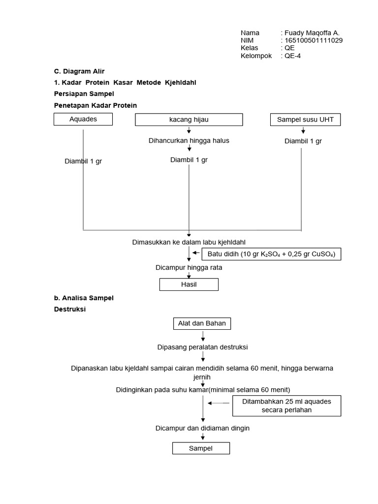 Diagram Alir Protein | PDF