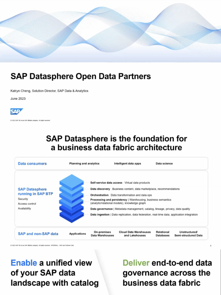 SAP Datasphere | PDF