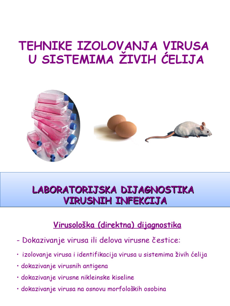 Vjezba 2 Virusologija | PDF
