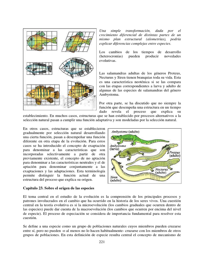 Cap23 Origen De Las Especies Pdf Evolución Especies