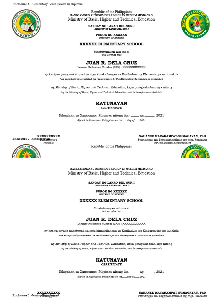 Grade 6 Elementary Diploma Certificate | PDF | Youth | Schools