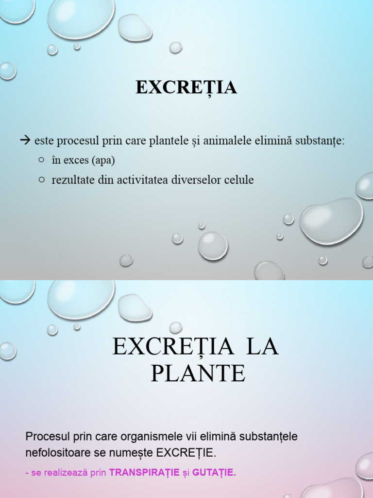Excretia La Plante | PDF