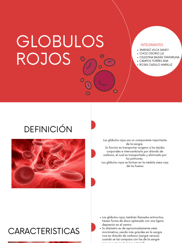 Globulos Rojos | PDF | Glóbulo rojo | Sangre