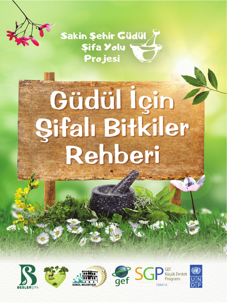 Güdül İçin Şifalı Bitkiler Rehberi - Besler Şifa Atölyesi Ankara | PDF