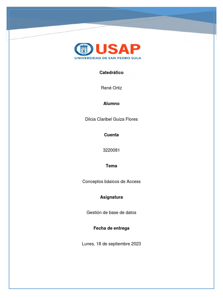 Actividad 01 - Conceptos Basicos de Access. | PDF | Bases de datos | Ingeniería de software